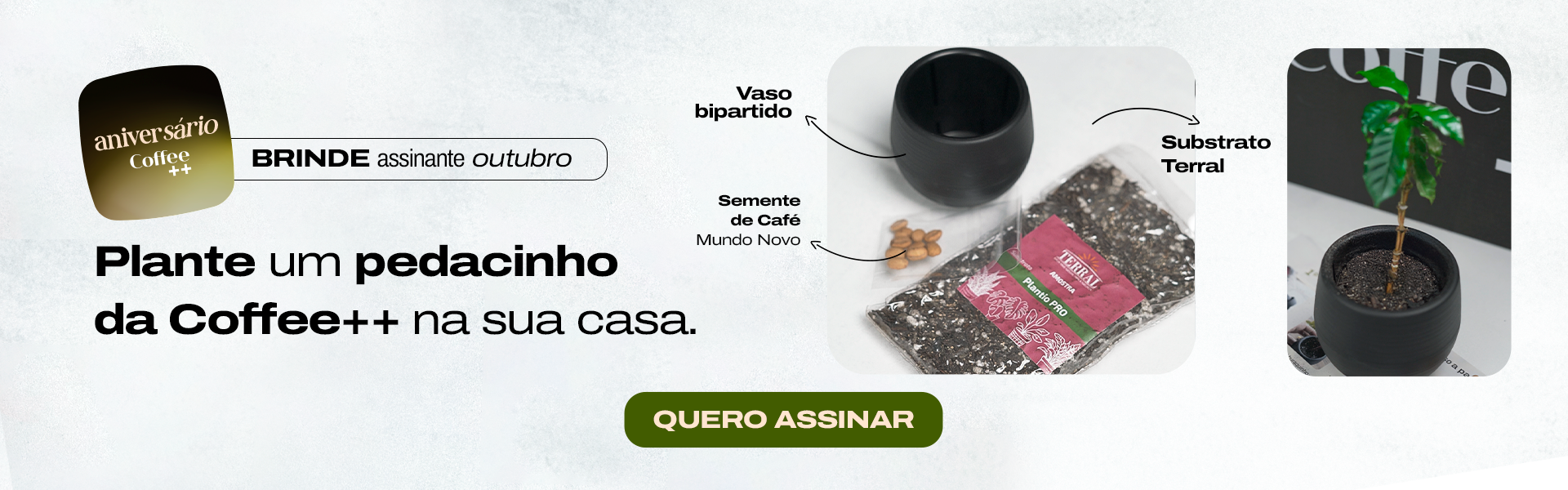 Coffee Mais - Cafés especiais: conheça e escolha o seu!